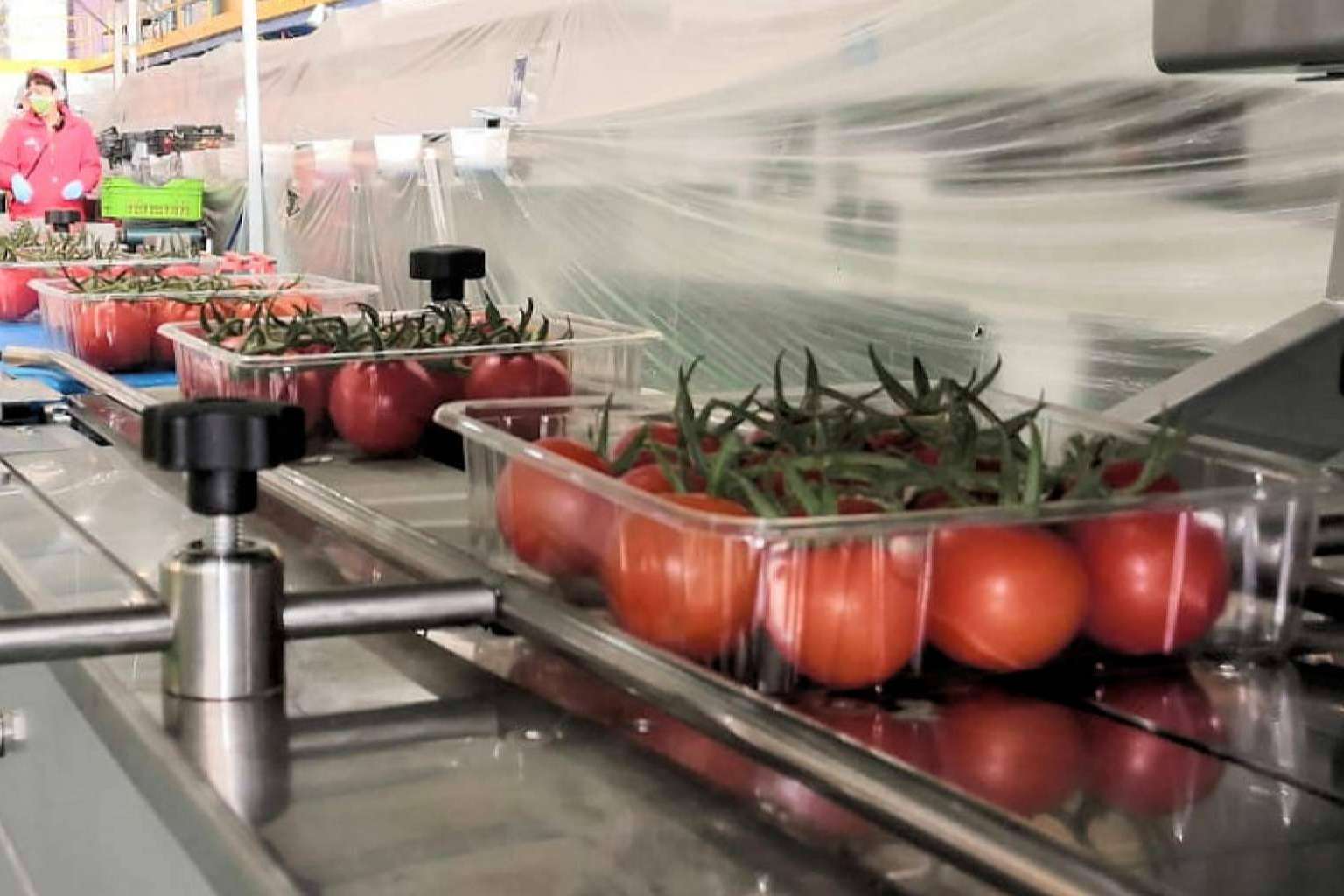 La importancia de la automatización en los procesos de envasado ...